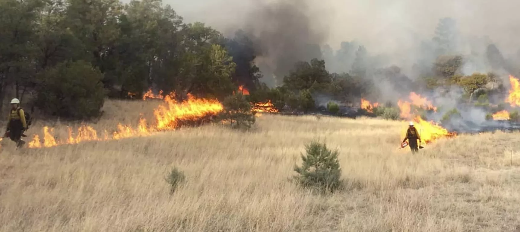 Wildland Suppression Module | Inter-Canyon Fire Protection District